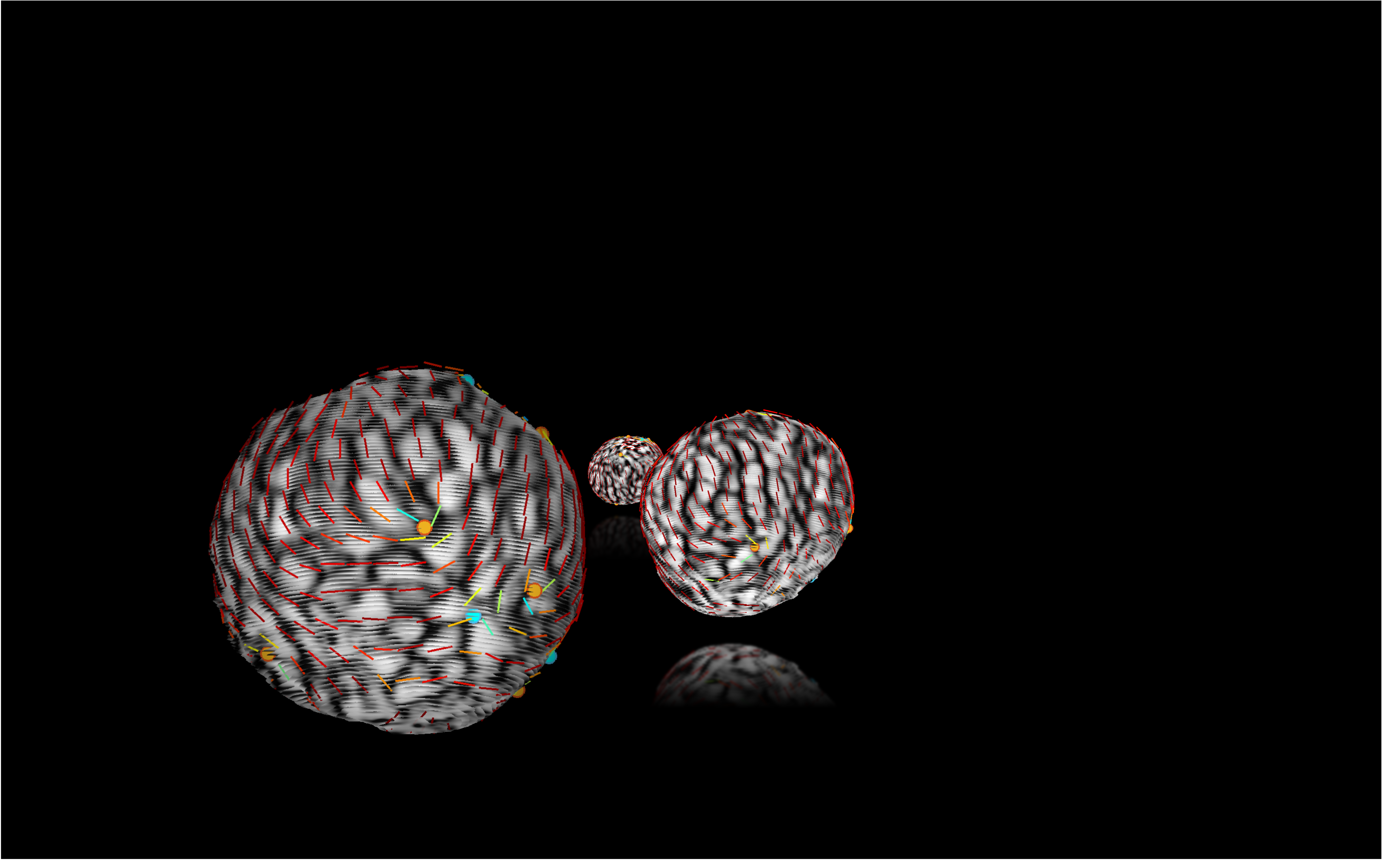 CV | Julia Eckert